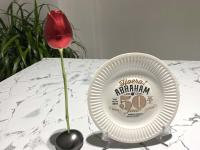 China 10 inch Pantone Color Biodegradable Paper Plates Disposable Eco Friendly Party Dinnerware 250 400gsm for sale
