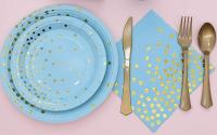 China Biodegradable Festival Party Paper Plates 9 inch Blue Color Disposable Tableware for sale