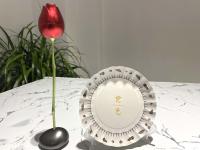 China 350g White Paperboard Engraving Heavy Duty Paper Plates 9 Inch Disposable for sale