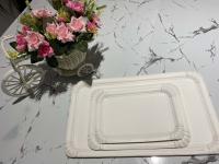 China Custom Square Paper Plates 250gsm Biodegradable Bagasse Disposable Party Plates for sale