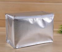 China Custom Polyester Insulated Lunch Cooler Bag 500pcs MOQ Eco Friendly Picnic Carrier for sale