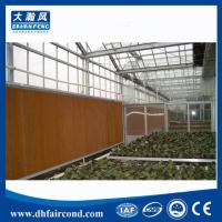 China Greenhouse Cooling Pads 7090 100mm Thick Evaporative Cooler Media Honeycomb Cell Pads for Wall Installation for sale