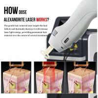 China Whitening Pro 755 Alexandrite Laser Hair Removal Machine with 1/2/4 Hz Frequency for sale