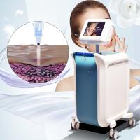 China 220v / 110v Water Dermabrasion Facial Cleaning Skin Rejuvenation Jet Peel Machine for sale