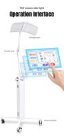 China 2024 7 Colors Lamp Chromotherapy Skin Rejuvenation Light Facial PDT LED Light Therapy Beauty Machine for sale