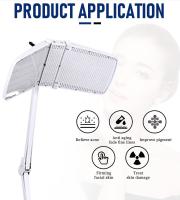 China 2024 7 Colors Lamp Chromotherapy Skin Rejuvenation Light Facial PDT LED Light Therapy Beauty Machine for sale