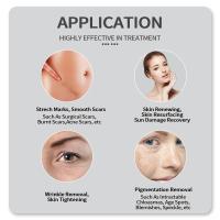 China Multi-language Beauty Stretch Marks Skin Scars Removal Vaginal Tightening Rf Fractional Co2 Laser Machine for sale