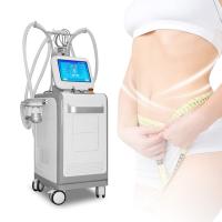 China Function 2 Criolipolisis Machine Cryolipolysis for Safe and Non-Invasive Fat Removal for sale