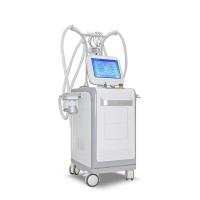 China Function 2 Criolipolisis Machine Cryolipolysis for Safe and Non-Invasive Fat Removal for sale