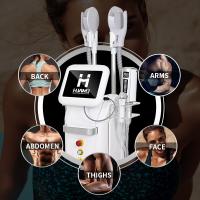 China Body Sculpting STANDING EMS Machine with Inner Ball Roller and RF Microneedle Technology for sale