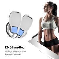 China Revolutionary EMS Body Sculpting Machine with 4 Magnetic Output Intensity Levels for sale