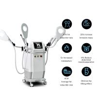 China 4 Handles EMS Fat Burning Magnetotherapy Pain Relief Muscle Stimulator Target Area Body for sale