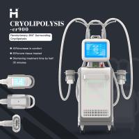 China 12 Inch Color LCD Touch Screen Cryo Body Slimming Machine for Chin Fat Freezing Treatment for sale