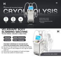 China Experience the Benefits of 360 Cryo Slimming Beauty Machines with 650nm Wavelength for sale