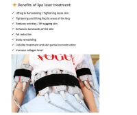 China 650nm Lipo Laser Machine for Fat Reduction 12 Paddles and Free Design Appearance for sale