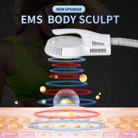 China Professional Weight Loss EMS RF Fat Removal Body Shaping Machine with 9d Inner Ball Roller for sale