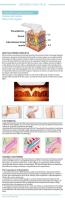 China High Intensity Focused Ultrasound Machine for 3D Face Lifting and Vaginal Tightening for sale