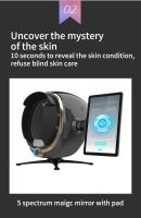 China Professional 3D Skin Analysis Machine for Facial Skin Scanner Input 100-240VAC 50/60HZ for sale