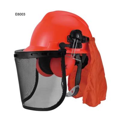China Industrial Safety Helmet with Face Shield and Earmuff ABS Mesh Visor 220V for sale