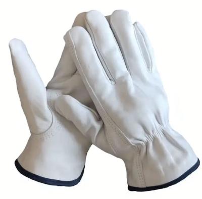 China Soft Goatskin Grain Leather Driving PPE Safety Gloves for Construction Industrial Size 9 10 11 for sale