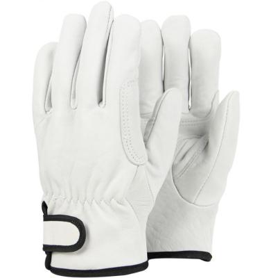 China Leather Work Gloves for Construction & Labor - Custom Sizes with CE EN420/EN388/EN511 Certification for sale