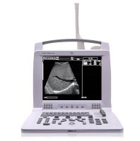 China Lightweight Veterinary Portable Goat Ultrasound Scanner 12in Monitor 6KG for sale
