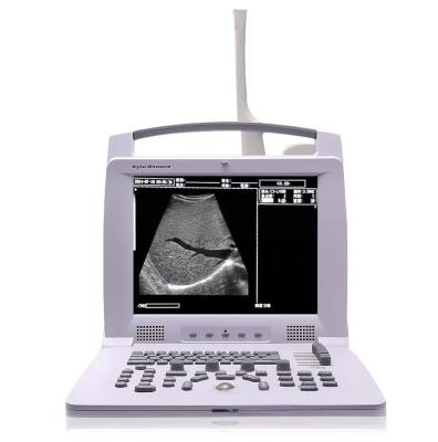 China Lightweight Veterinary Portable Goat Ultrasound Scanner 12in Monitor 6KG for sale