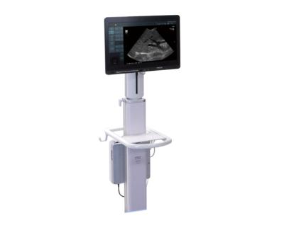 China Fujifilm ARIETTA Precision Ultrasound System with 21.5