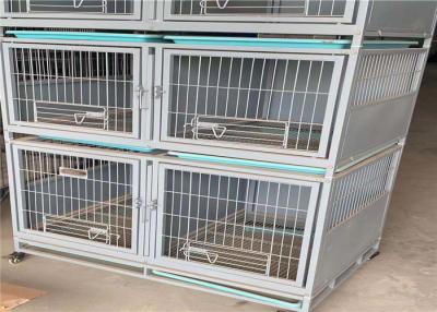 China Wire Hot dipped galvanized Cheap Layer pigeon cage Breeding With Pigeon Accessories for sale
