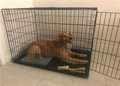 China Double-Door Metal Foldable Large Heavy Duty Pet Dog Crate Dog Cage for sale
