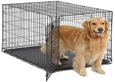 China 3 Sizes Stainless Steel Premium Heavy Duty Pet Dog Crate Cage Kennel For Medium Large Sized Dogs for sale