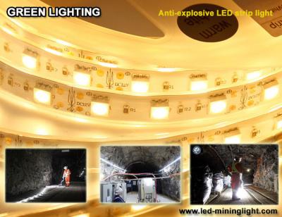 China Anti explsoive 1500 lum Flexible LED Strip Waterproof 60pcs led each meter for sale