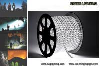 China SMD5050 7.2W/m 0.6A IP67 Waterproof LED Flexible Strip Light 30 LEDs/m DC12/24V for sale