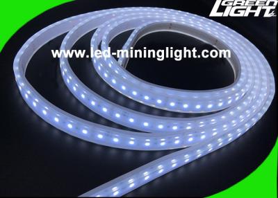 China Explosion Proof LED Strip Light 24V 5500K IP68 Flexible 60 LEDs/m 16W/m for sale