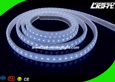 China Waterproof 24V LED Strip Light 60 LEDs/m 16W/m Industrial Mining Lighting IP68 for sale