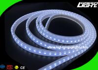 China Waterproof IP68 LED Strip Light 24V 16W/m 60 LEDs/m for Mines Tunnel for sale