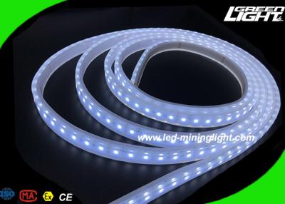 China Waterproof IP68 LED Strip Light 24V 16W/m 60 LEDs/m for Mines Tunnel for sale