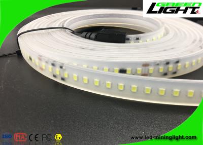 China 24V Flexible LED Strip Lights 5050 SMD 60 LEDs/m IP68 Outdoor Battery Operated for sale