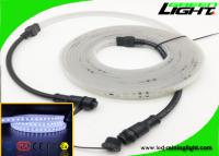 China Anti-Explosive RGB SMD 5050 Waterproof LED Strip Light 24V DC Cool White Silicone IP68 60 LEDs/m for sale