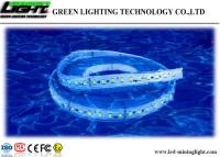 China 24V DC Flexible LED Strip Light 5m Reel SMD5050 60 LEDs/m IP68 Explosion Proof for Mining for sale