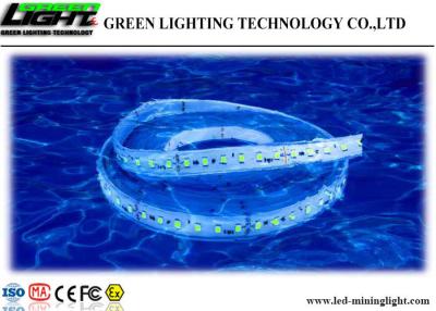 China 24V DC Flexible LED Strip Light 5m Reel SMD5050 60 LEDs/m IP68 Explosion Proof for Mining for sale