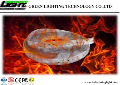 China Anti Explosive LED Flexible Strip Lights DC 24V Shock Resistant With Silica Gel for sale