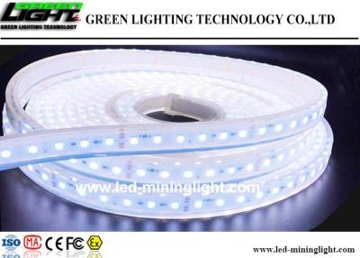 China Flexible Silica Gel LED Strip Light IP68 24V DC 60 LEDs/m Anti-Explosive for Mining for sale