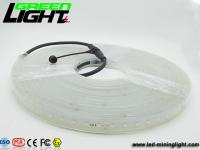 China 12v DC IP68 17W SMD5050 Flexible Led Strip Lights for sale