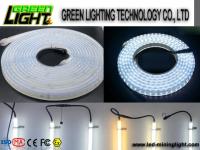 China Silicone 12w Ip68 SMD5050 Flexible Led Light Strips for sale