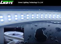 China 220VAC 2362lm Double Row LED Strip Light SMD5050 33W/M Flexible 100m for sale
