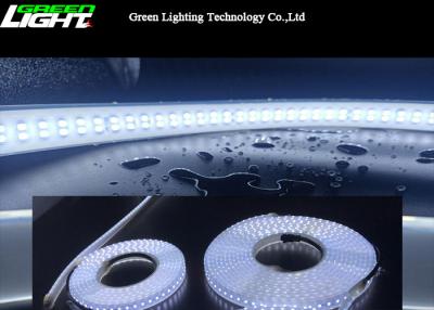China Dual Row 6500k SMD5050 LED Silicone Strip Light 12W/M for sale