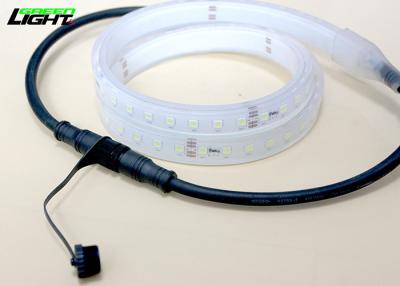 China AC110V 2000Lumen LED Strip Light 72LEDs per Meter IP68 12W for Mining for sale