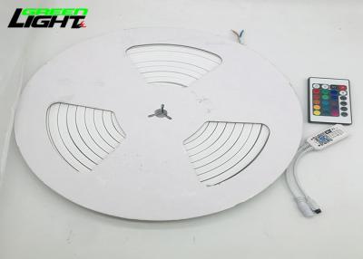 China DC12V SMD2835 5050 RGB Silicone LED Neon Light 5 Meters IP68 Flexible Strip for sale
