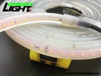 China IP68 Waterproof LED Strip Light 12V RGB SMD5050 72 LEDs/m 16W/m for Mining for sale